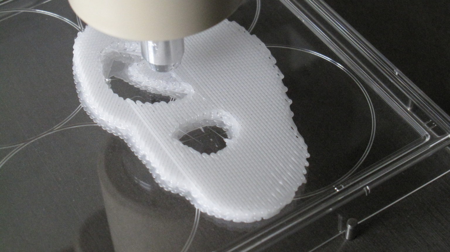 Prof. Aldo R. Boccaccini und Dr. Rainer Detsch im neu gegründeten ...